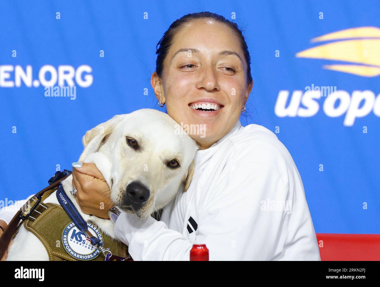 Flushing dogs Banque de photographies et d’images à haute résolution ...