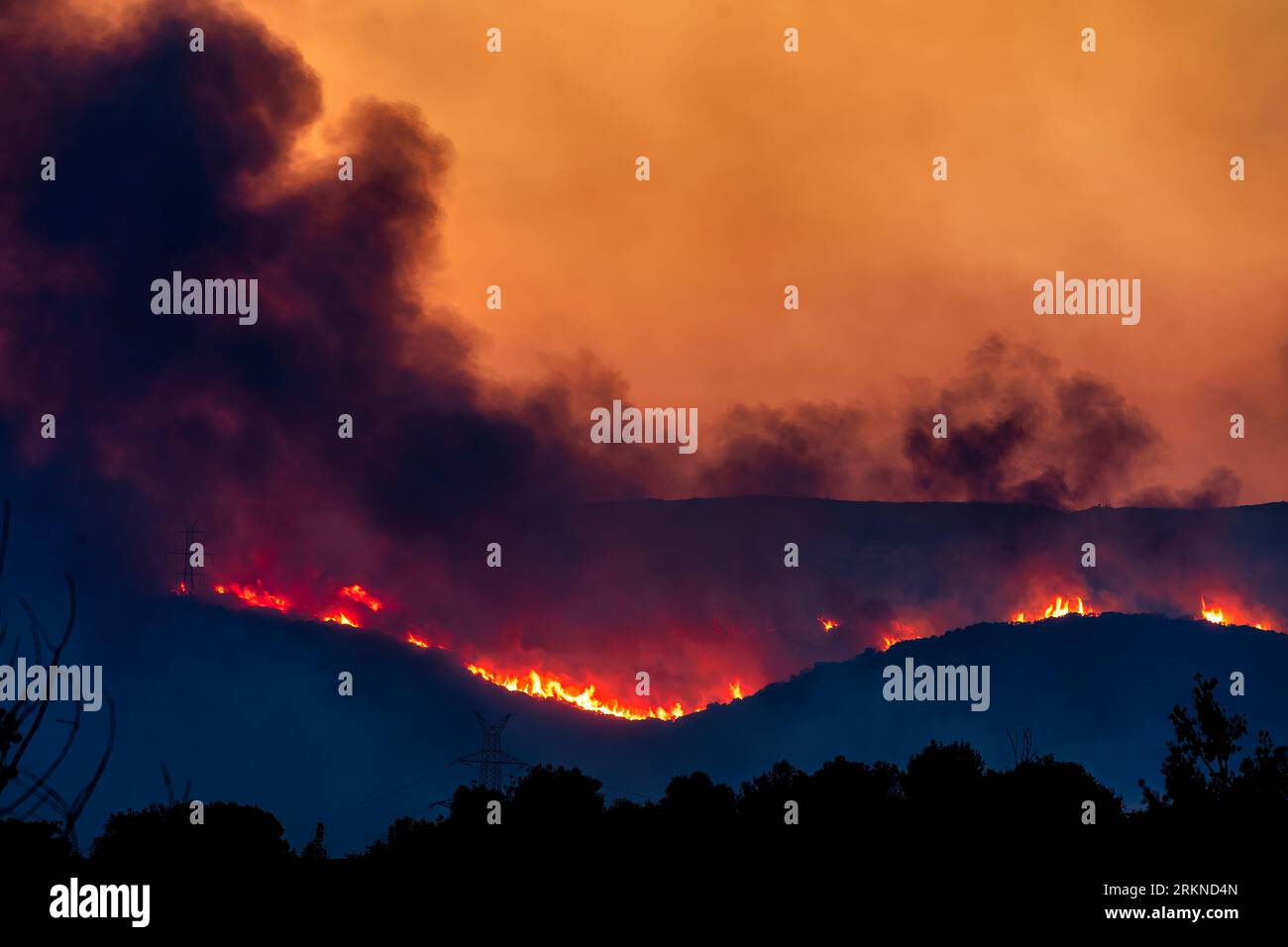 La Grèce Touchée Par Le Plus Grand Incendie Jamais Enregistré Dans L’Ue ...