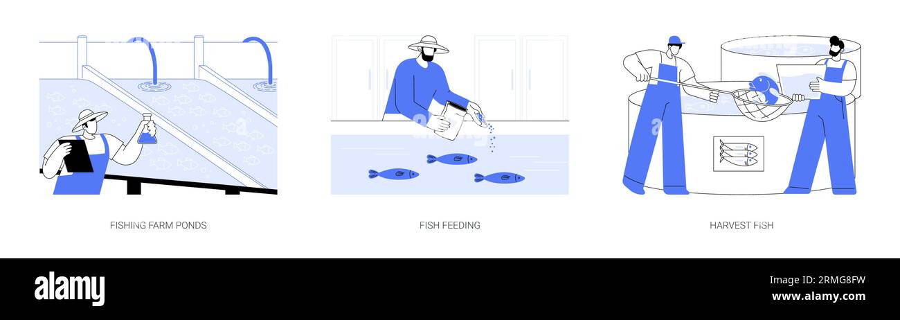 élevage de saumon Banque d'images vectorielles - Alamy