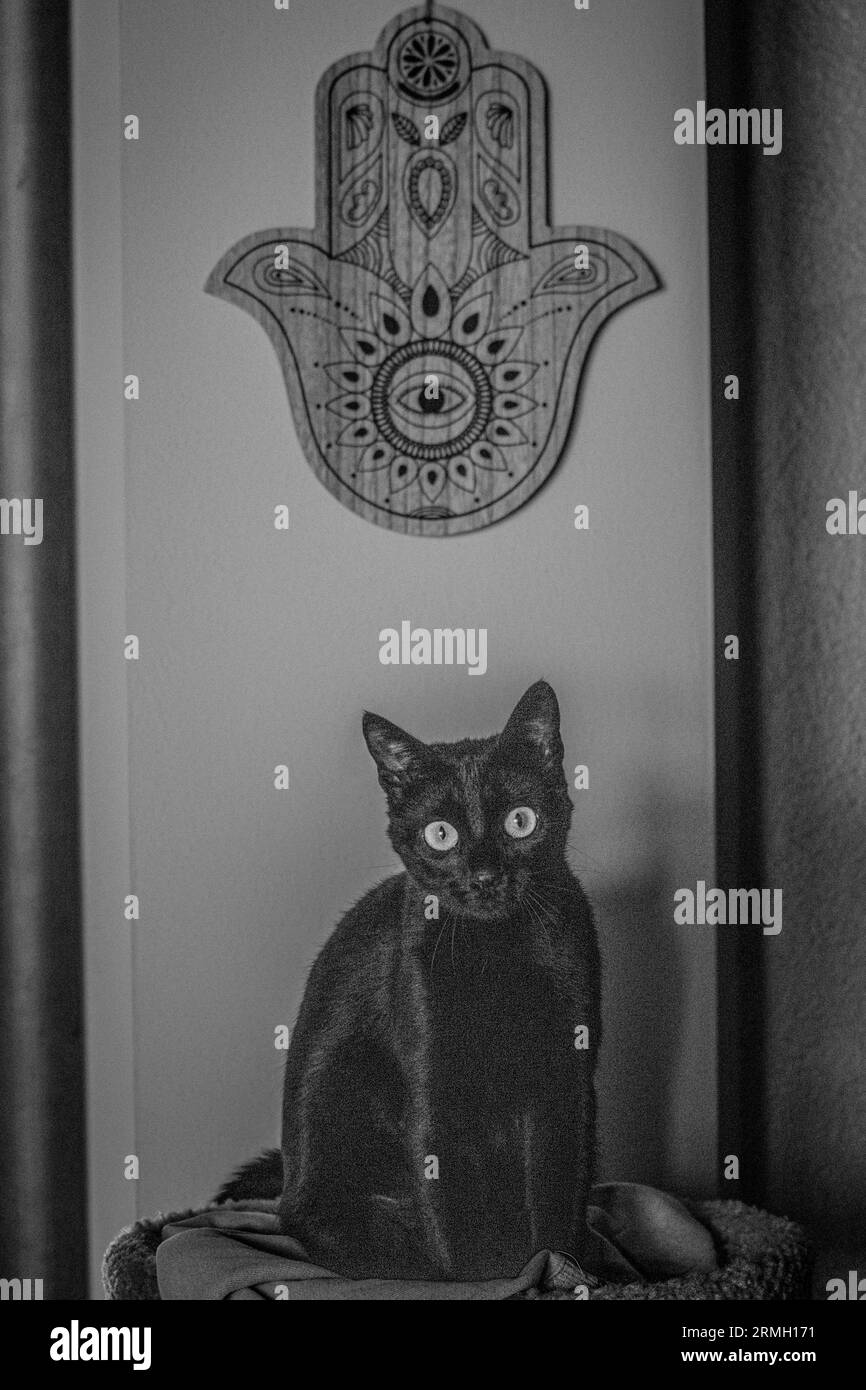 Main de fatima Banque d'images noir et blanc - Alamy