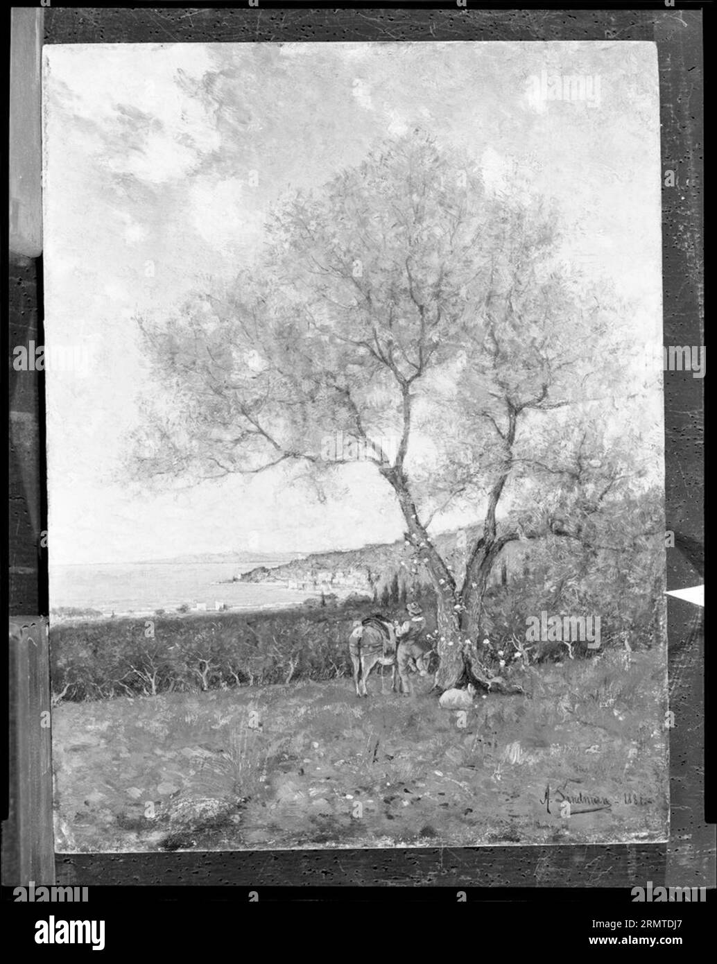 Axel lindman Banque de photographies et d’images à haute résolution - Alamy