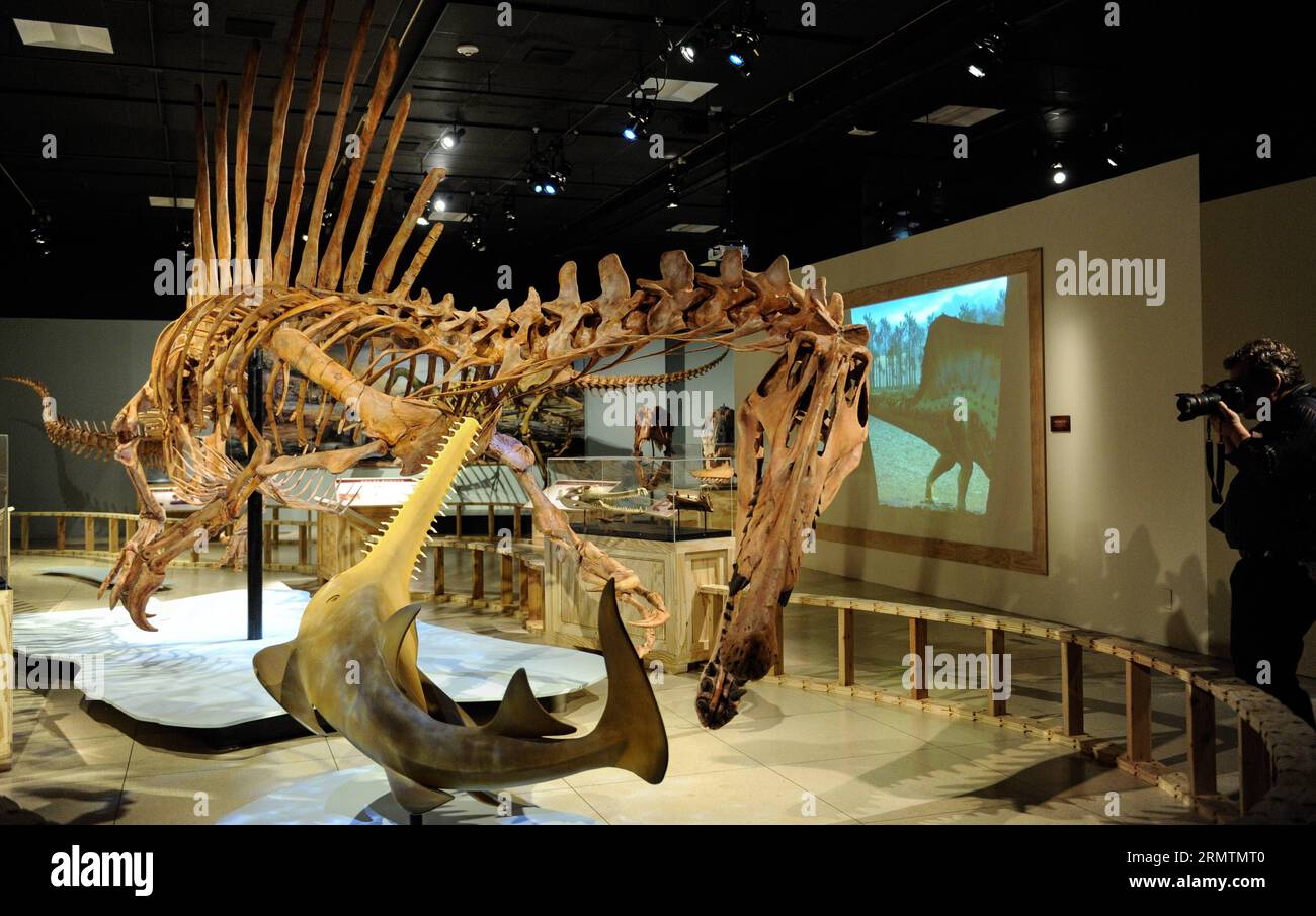 Spinosaurus aegyptiacus Banque de photographies et d’images à haute résolution - Page 2 - Alamy