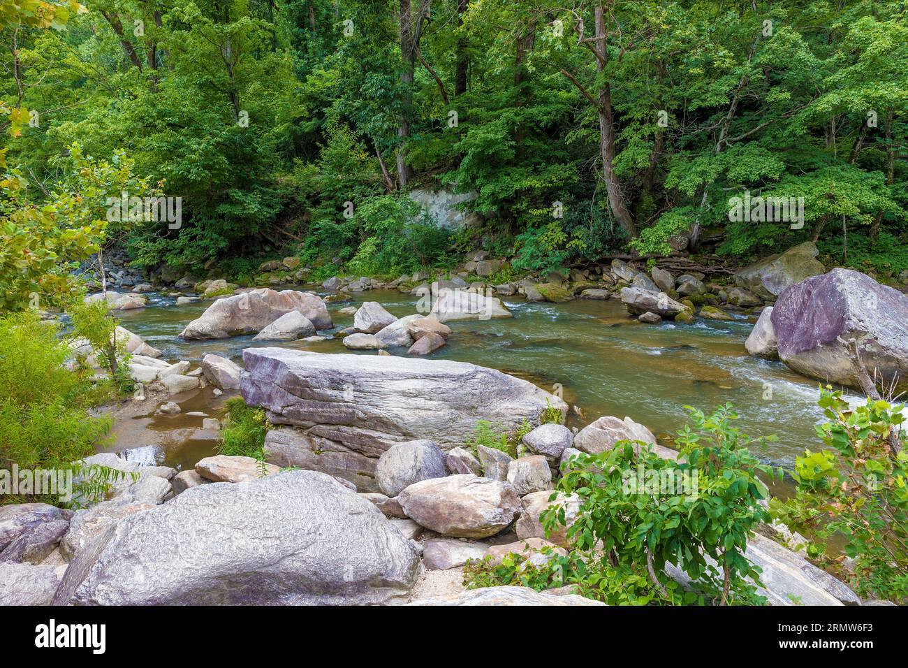 River Walk le long de la French Broad River que les habitants appellent ...