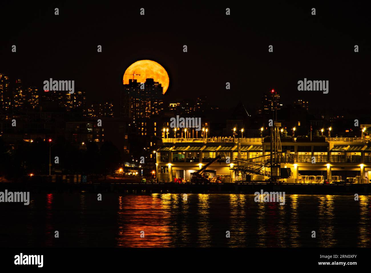 Moon lover Banque de photographies et d’images à haute résolution - Alamy