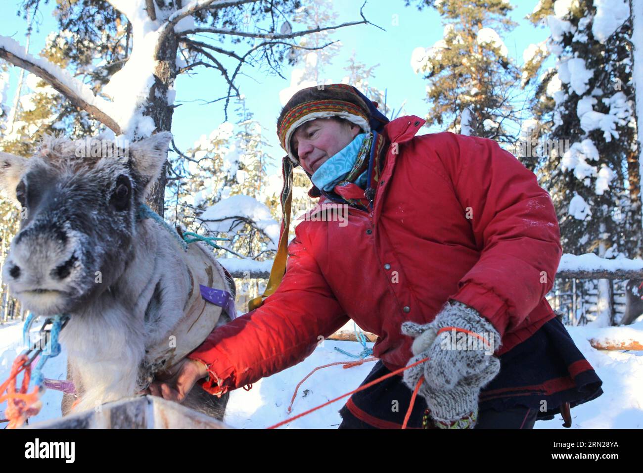 Est devenue une mere Banque de photographies et d’images à haute ...