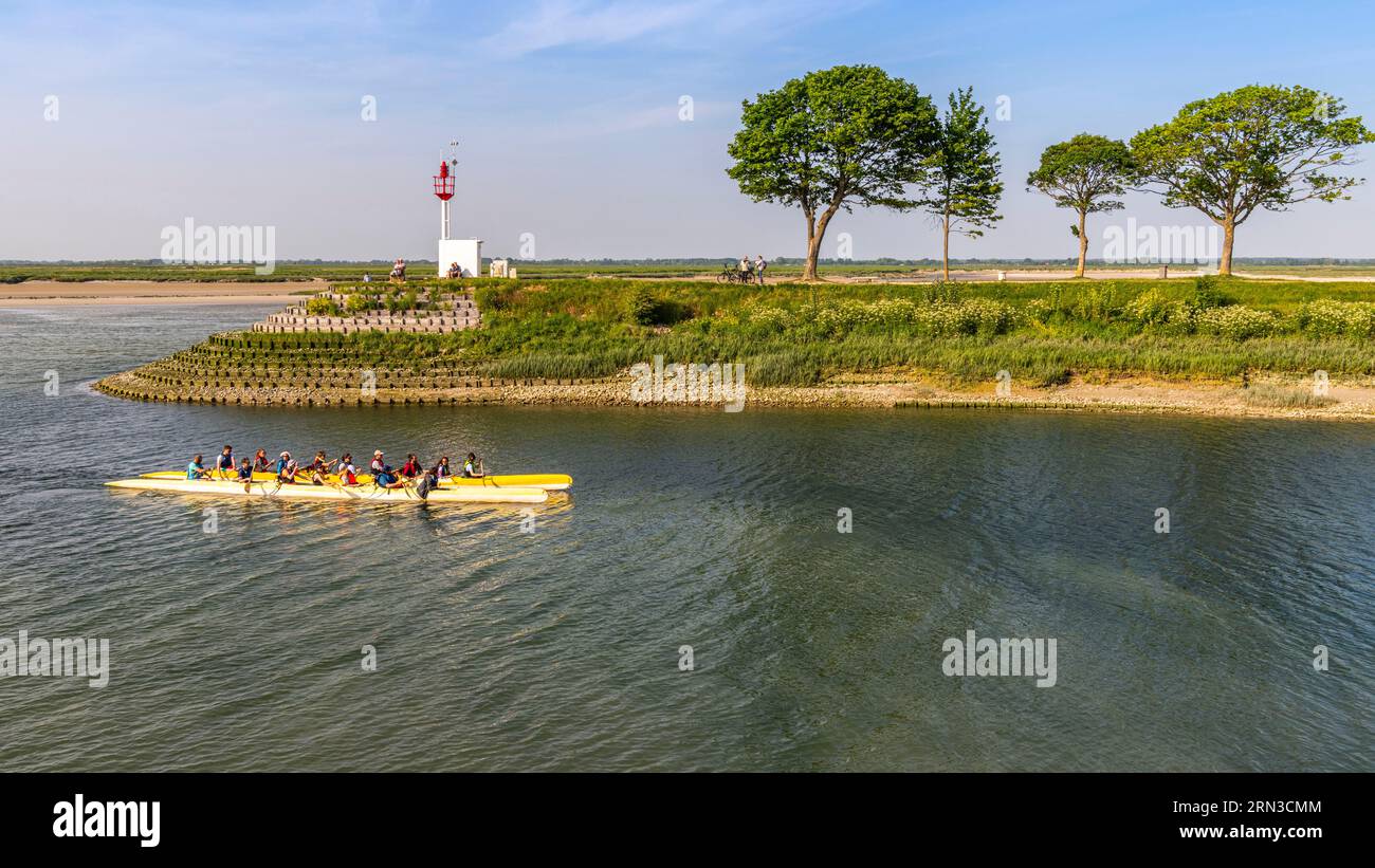 France, somme, Baie de somme, Saint-Valery-sur-somme, Pirogue ...