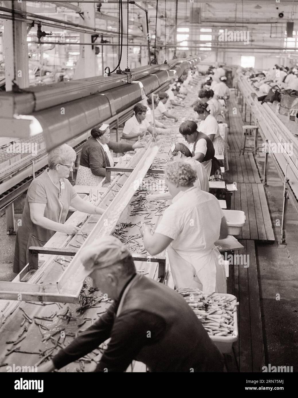 ANNÉES 1970 USINE DE TRANSFORMATION DES ALIMENTS HOMMES ET FEMMES SUR ...