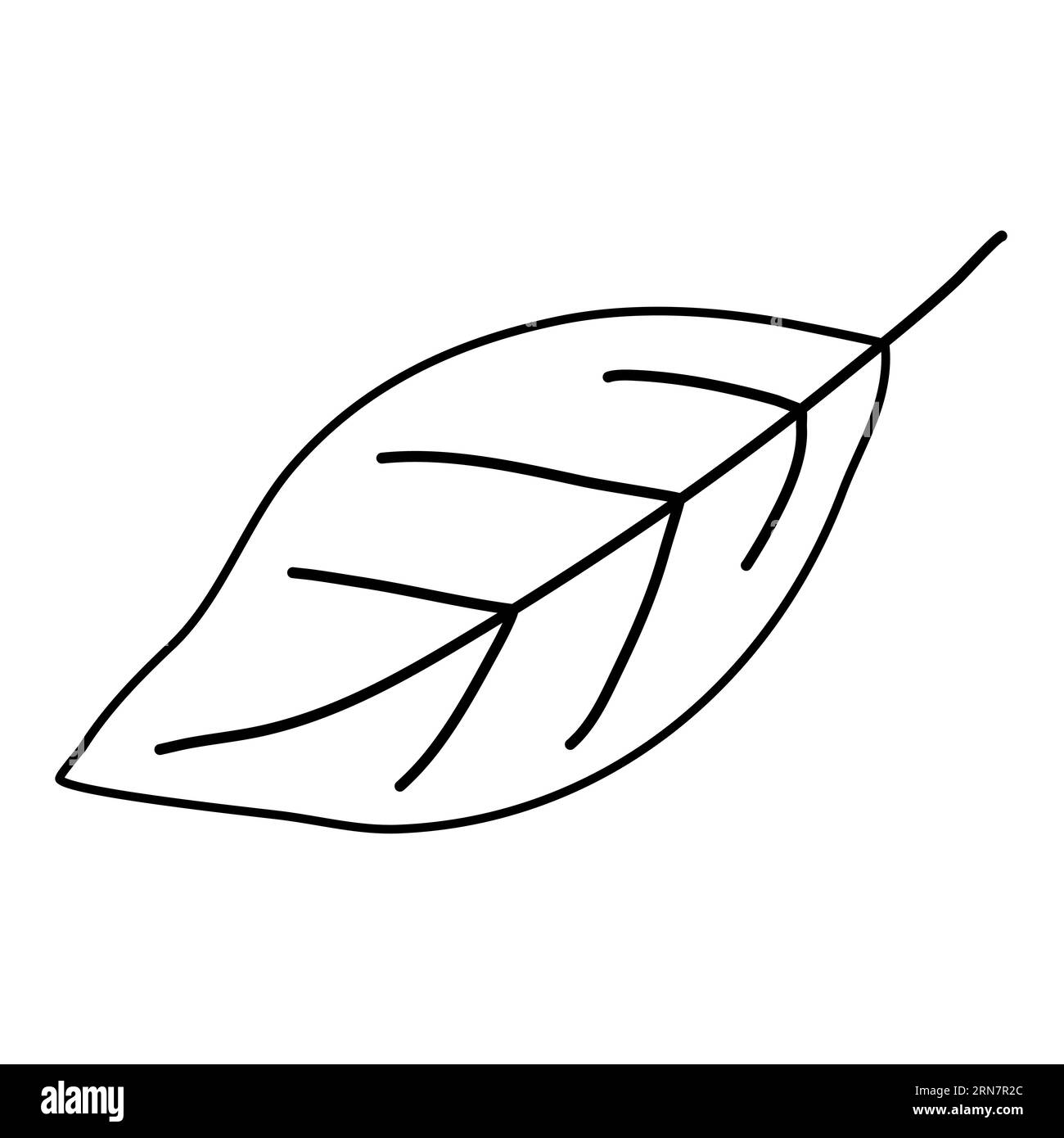 Feuille simple non dentelée, illustration vectorielle plate de style ...