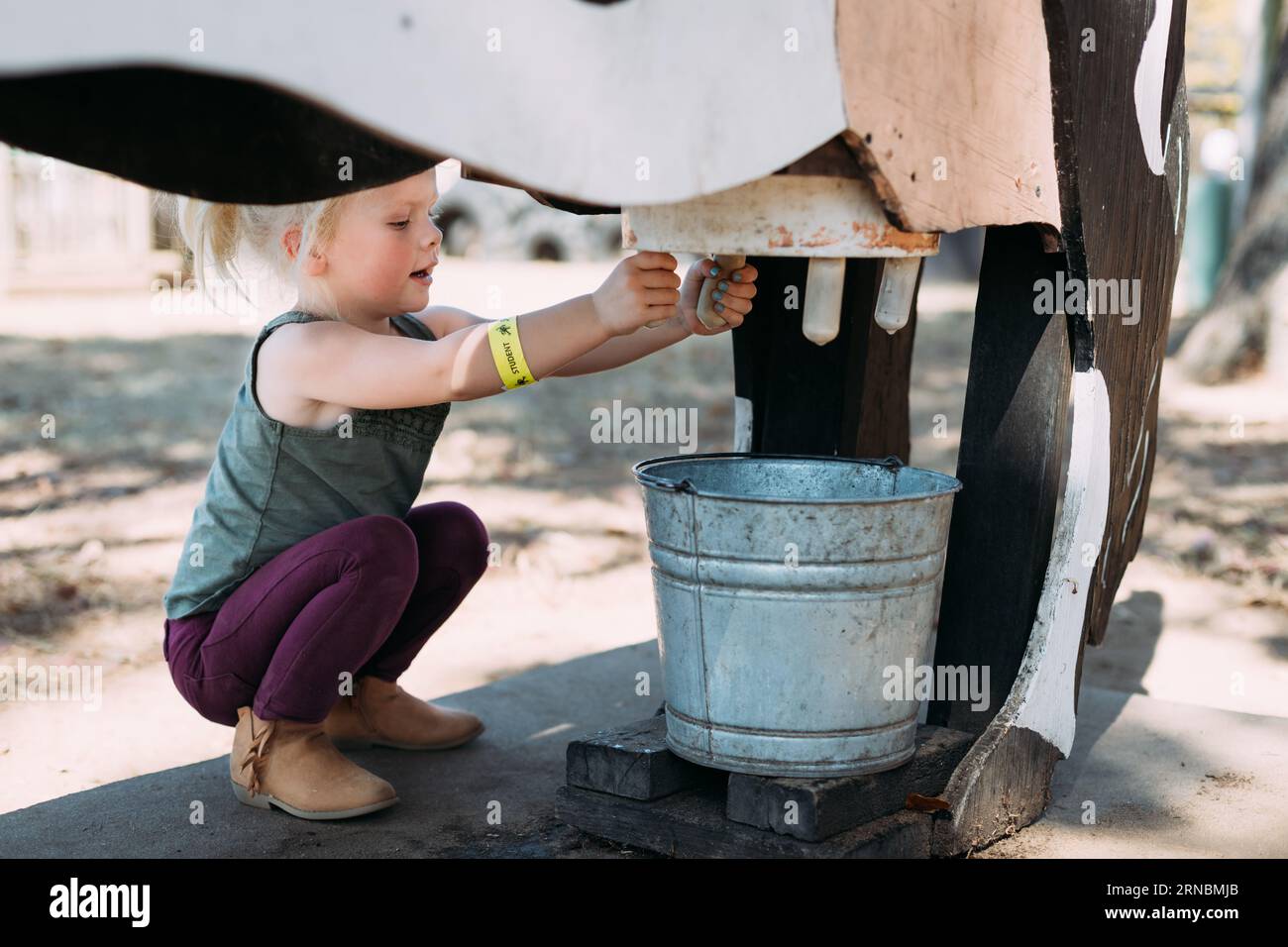 Mamelle de vache enfants Banque de photographies et d’images à haute ...
