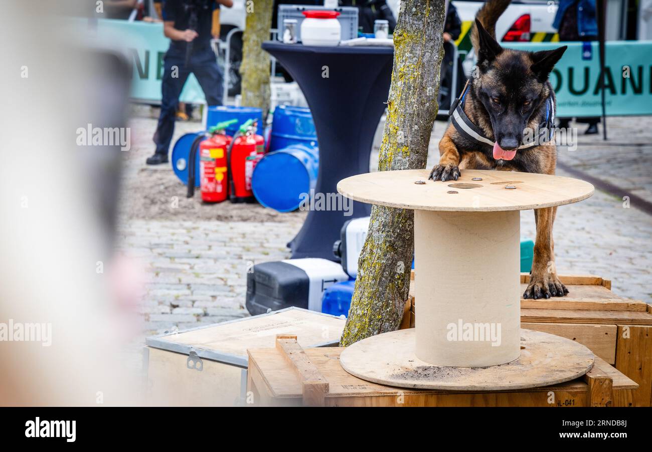 ROTTERDAM - visiteurs pendant la première journée des 46e Journées ...