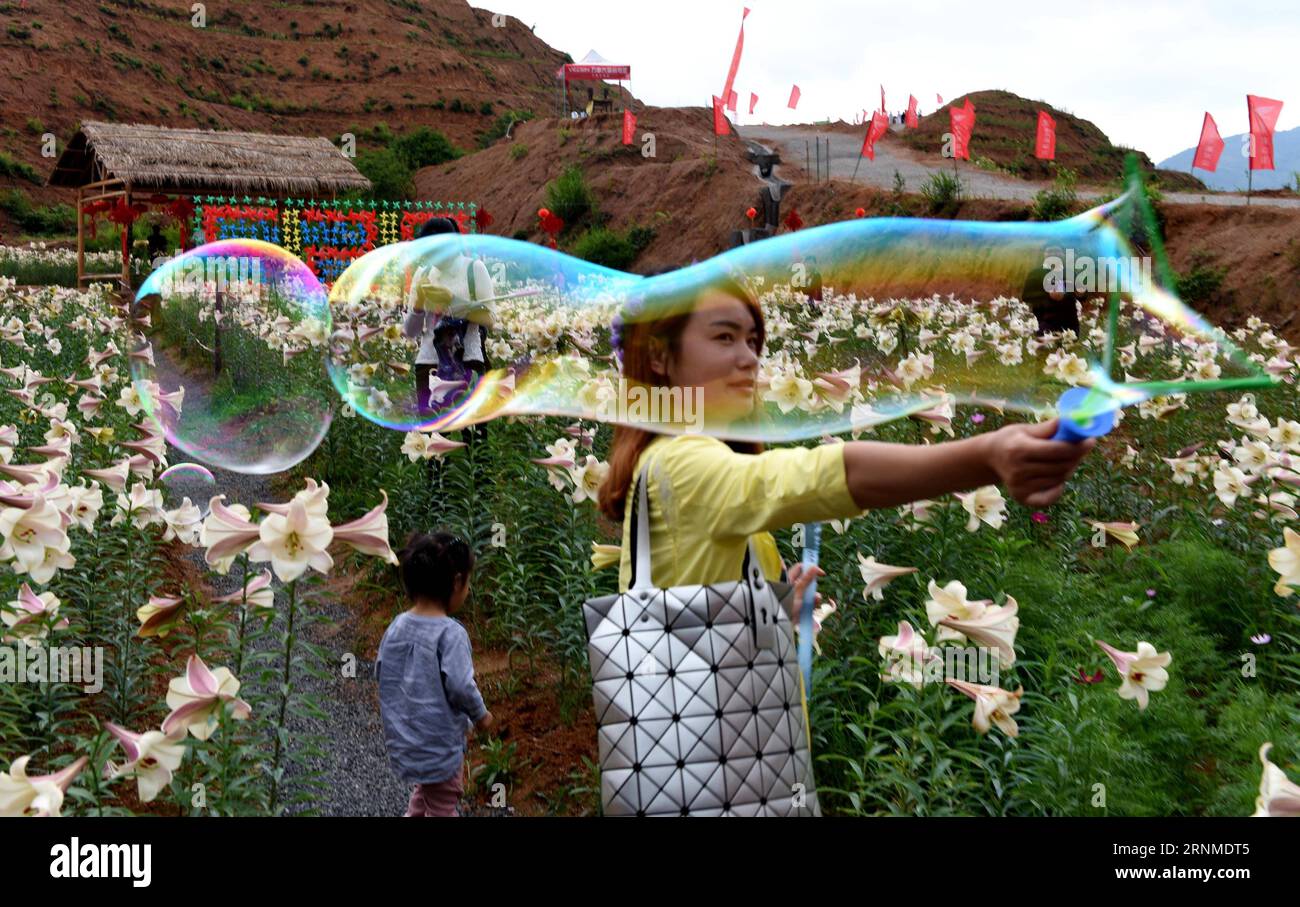 (170524) -- WANZAI, le 24 mai 2017 -- des touristes visitent un jardin ...