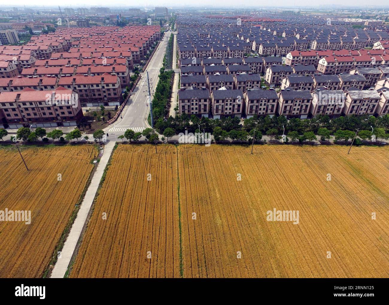 (170619) -- HANGZHOU, 19 juin 2017 -- une photo prise le 25 mai 2017 ...