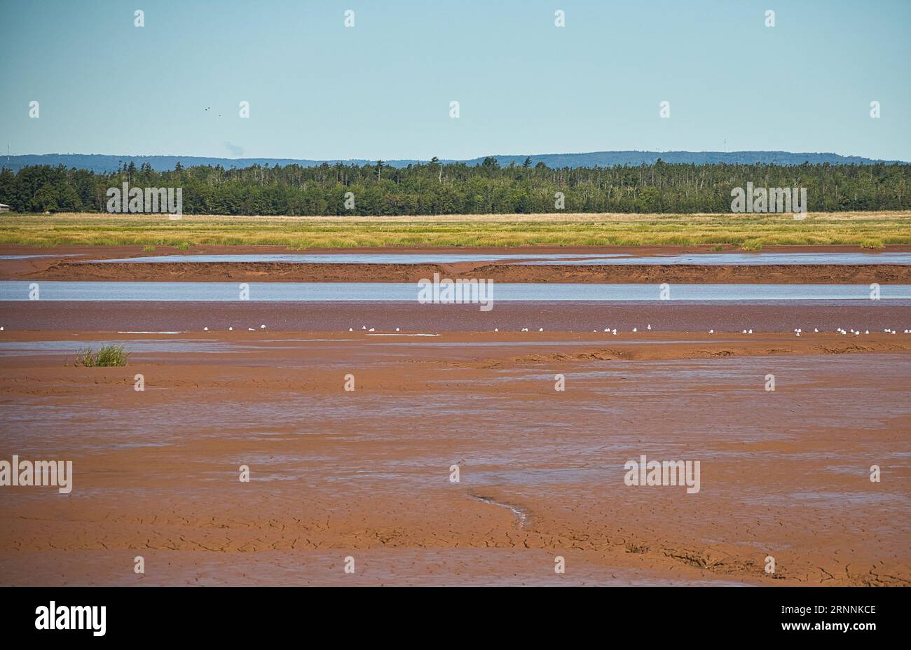 Marées les plus hautes du monde Banque de photographies et d’images à ...