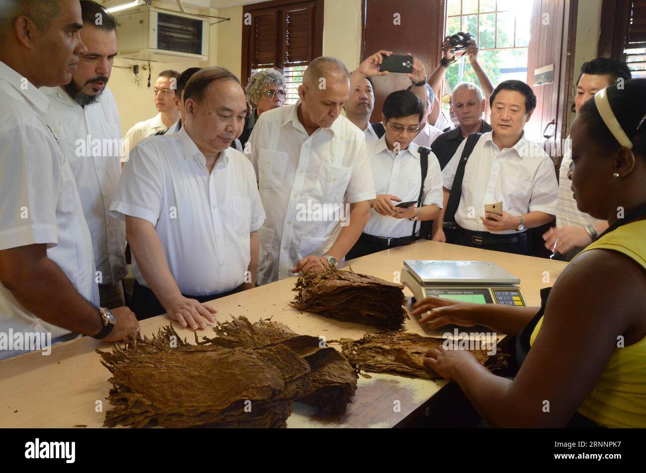 Lettre rtg Banque de photographies et d’images à haute résolution - Alamy