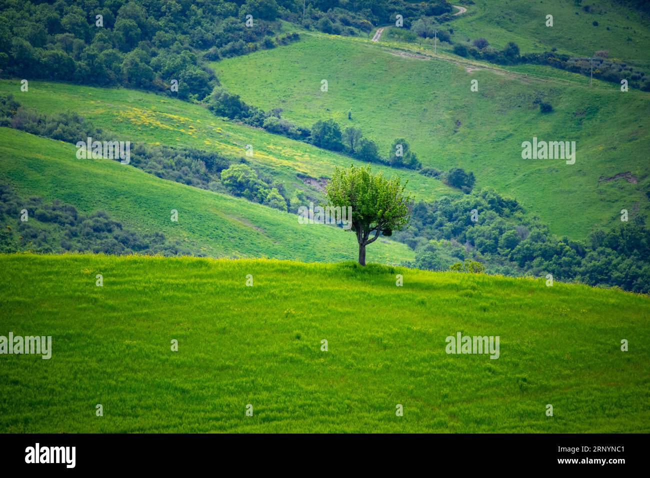 Gallipoli cognato Banque de photographies et d’images à haute résolution - Alamy