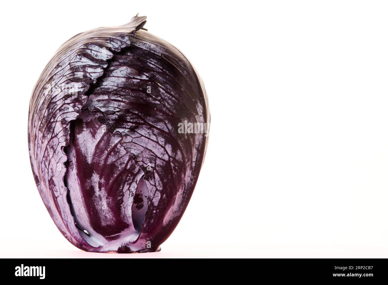 Fond chou Banque de photographies et d’images à haute résolution - Alamy