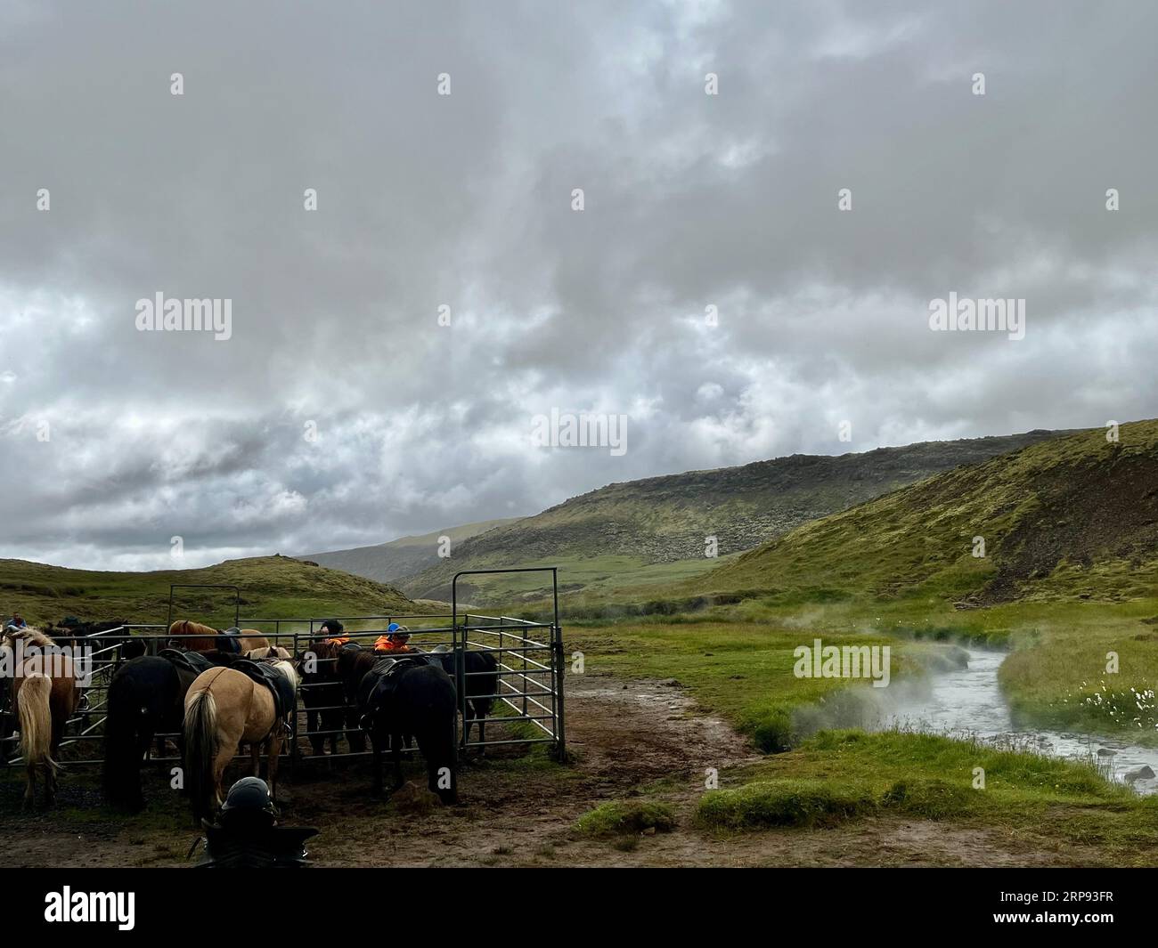 Paddock équestre dans la vallée de Reykjadalur, Islande. La vallée est ...