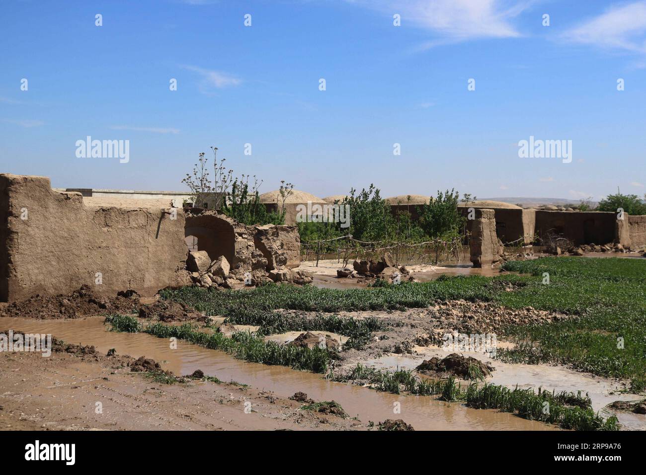 Sari pul Banque de photographies et d’images à haute résolution - Alamy