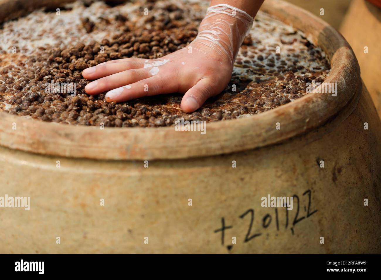 (190429) -- QUANZHOU, 29 avril 2019 (Xinhua) -- Wu Huaqing examine la ...