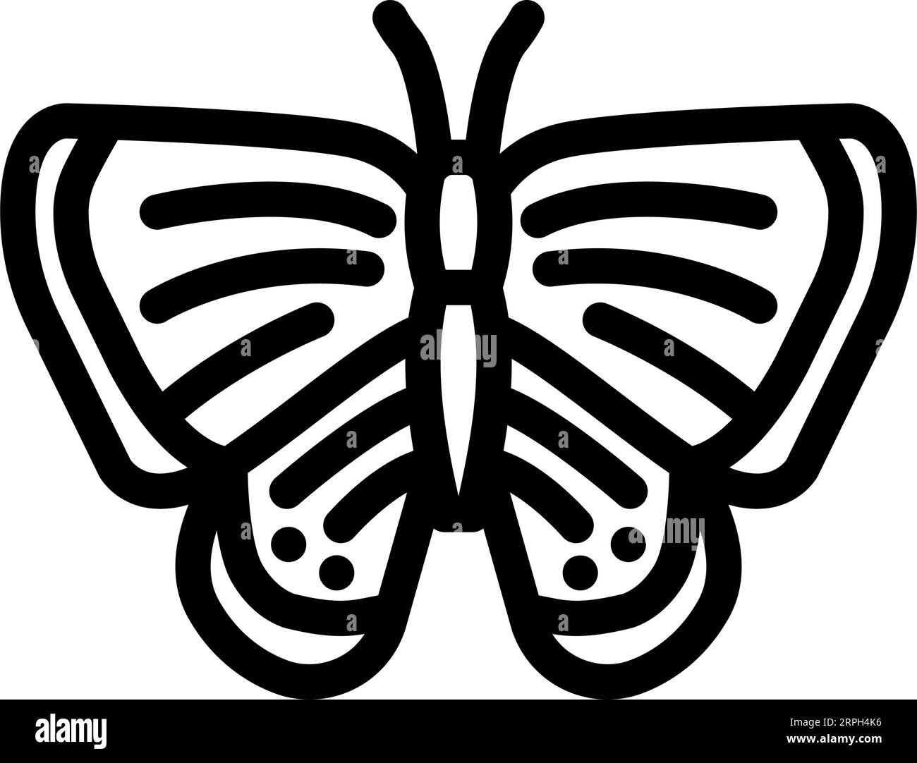 Insecte à longue queue Banque d'images noir et blanc - Alamy