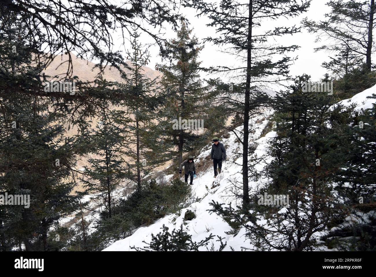 200116 -- JINCHANG, le 16 janvier 2020 -- le Ranger Feng Dejun L et ...