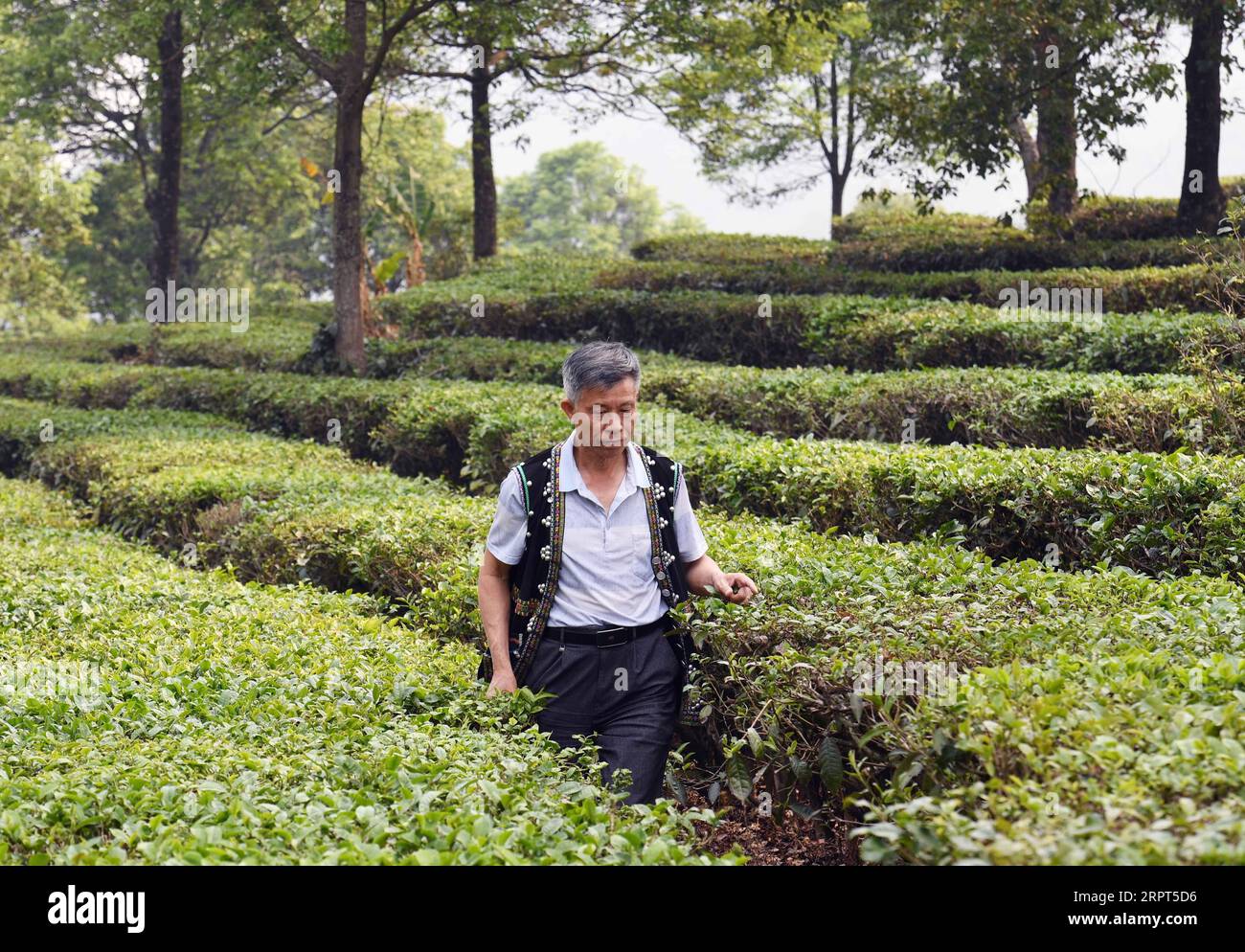 200411 -- NING er, 11 avril 2020 -- Li Xingchang, un héritier de la ...