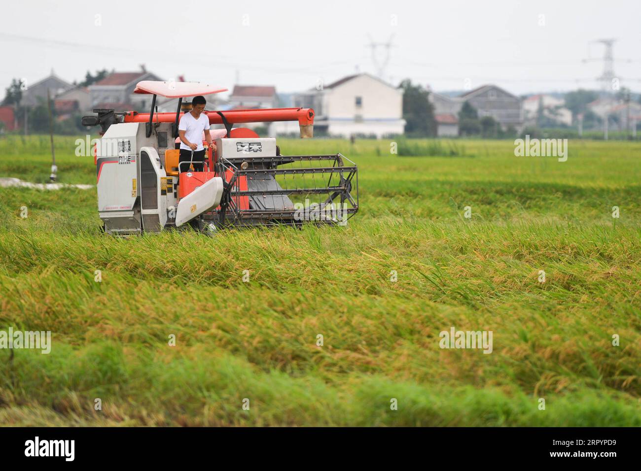 200711 -- YUEYANG, le 11 juillet 2020 -- Un agriculteur récolte du riz ...