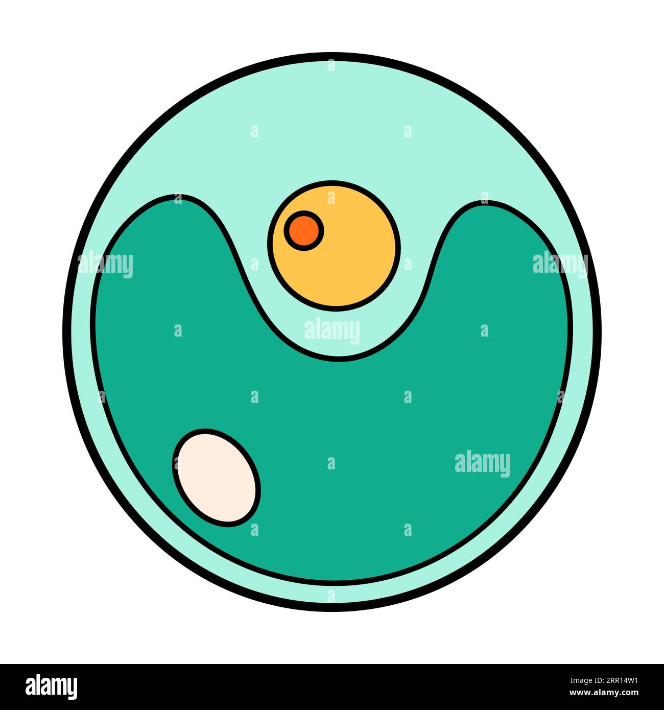 Amoeba amoeba proteus Banque d'images vectorielles - Alamy