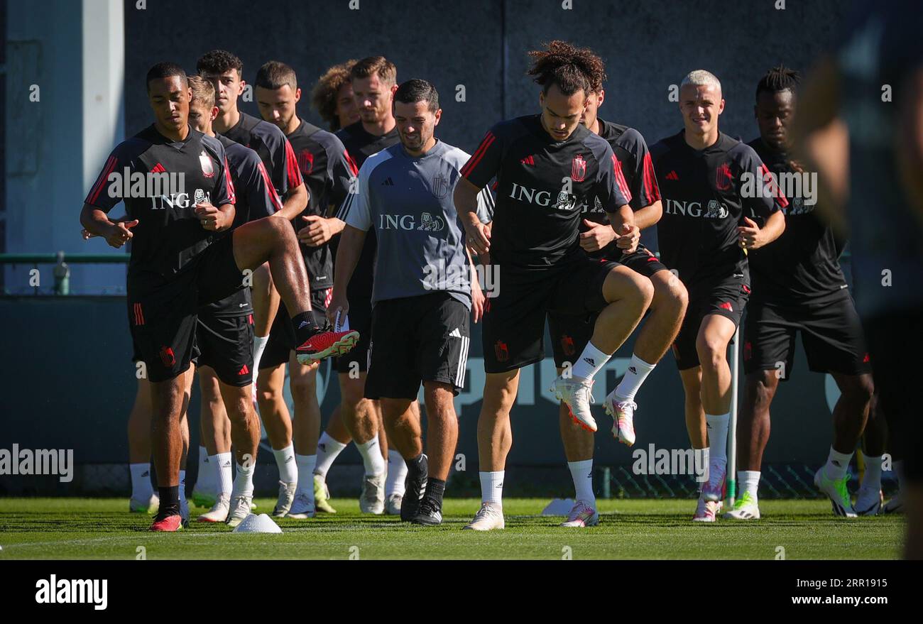 Tubize, Belgique. 06 septembre 2023. Le Belge Youri Tielemans et le ...