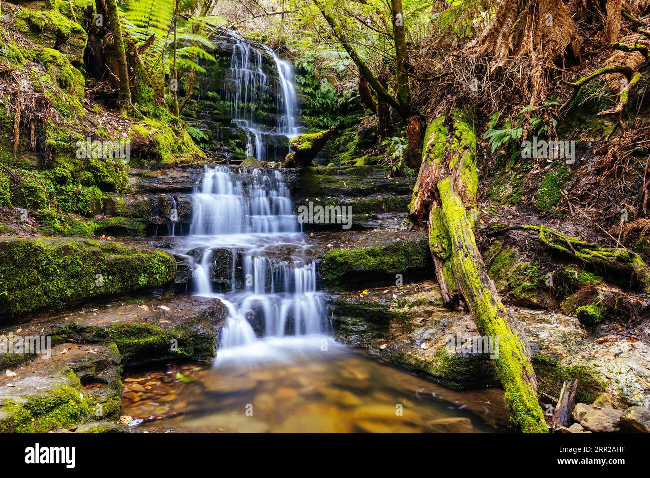 Spring gully Banque de photographies et d’images à haute résolution - Alamy