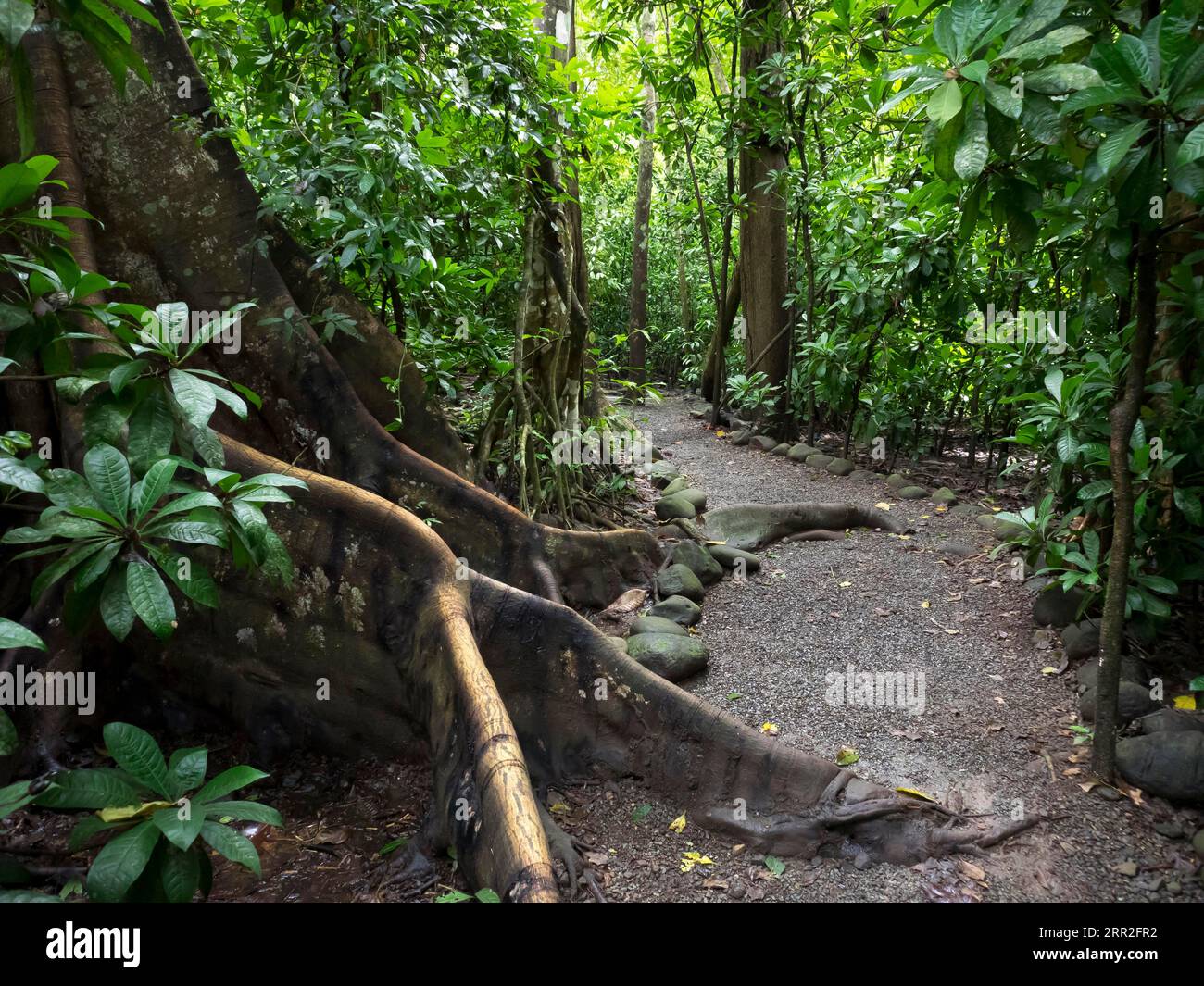 Parque nacional carara Banque de photographies et d’images à haute ...