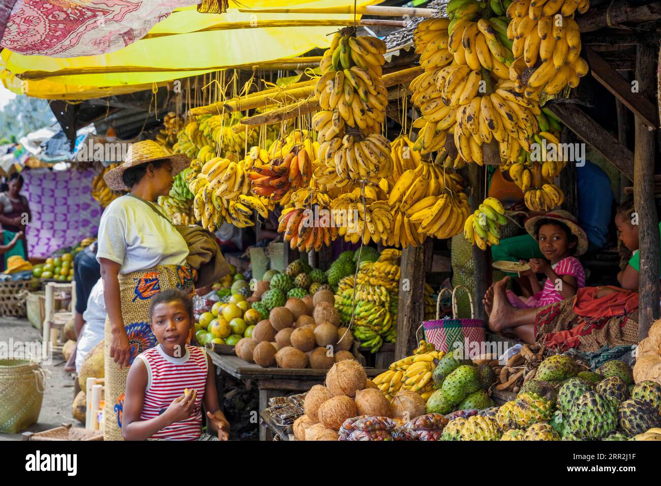 Fruits madagascar Banque de photographies et d’images à haute ...