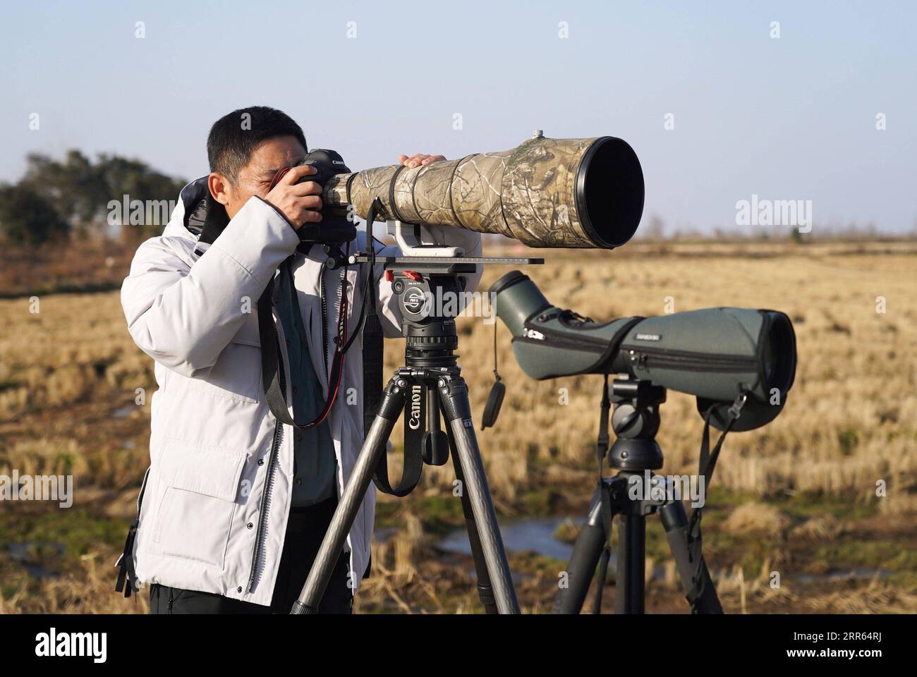 Hivernage au long cours Banque de photographies et d’images à haute ...