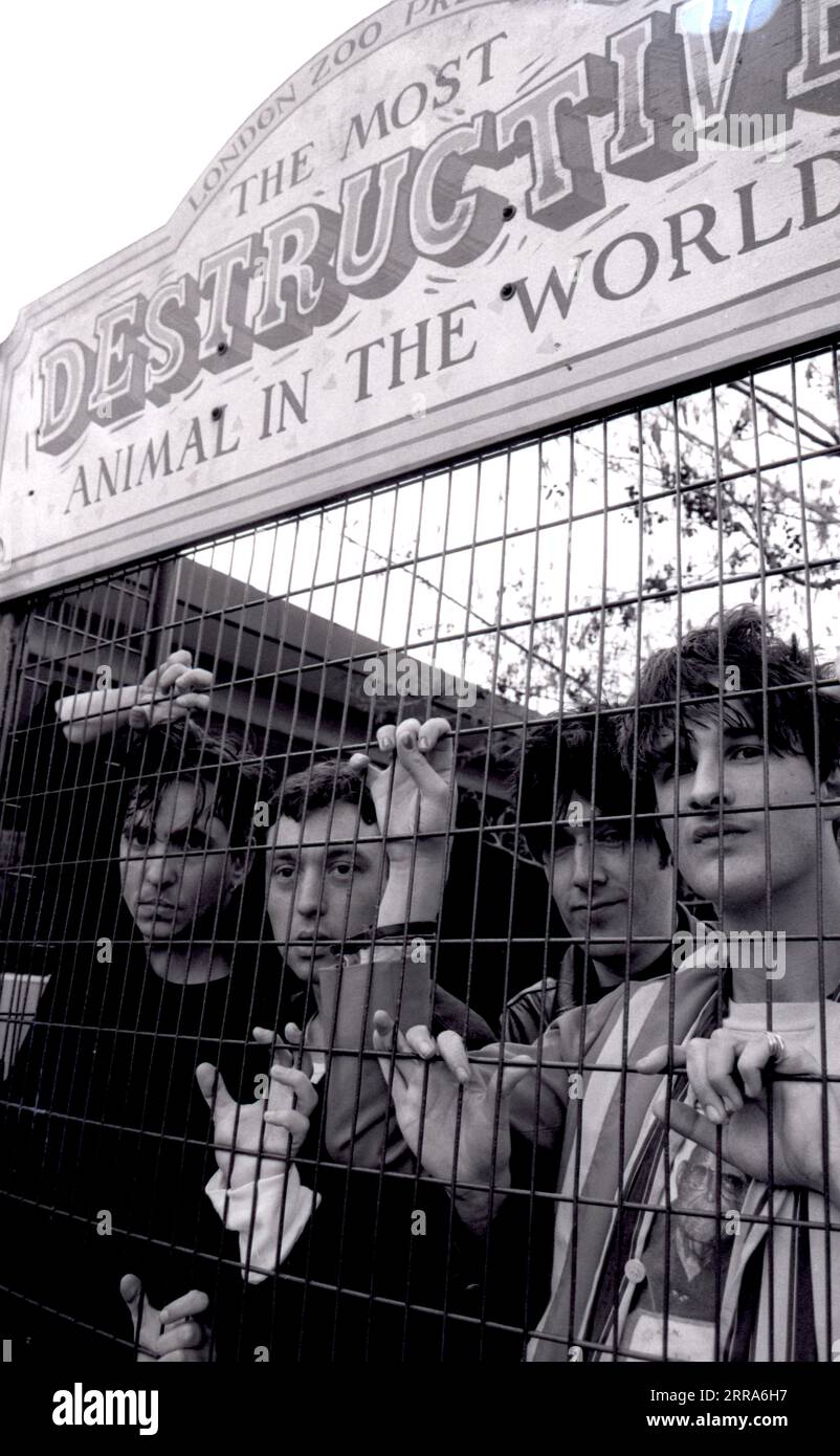 Crispin hunt Banque de photographies et d’images à haute résolution - Alamy