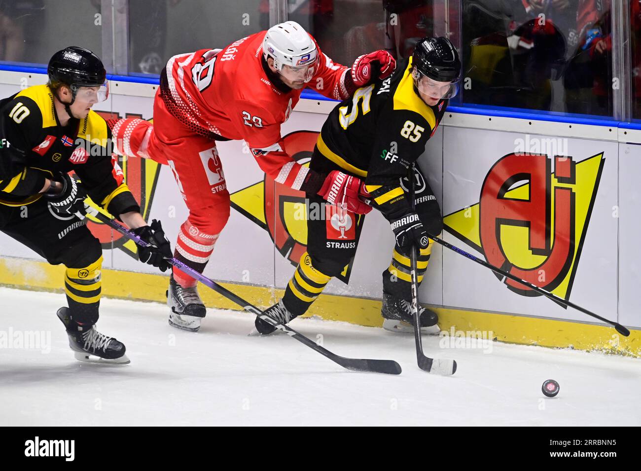 Stavanger oilers Banque de photographies et d’images à haute résolution ...