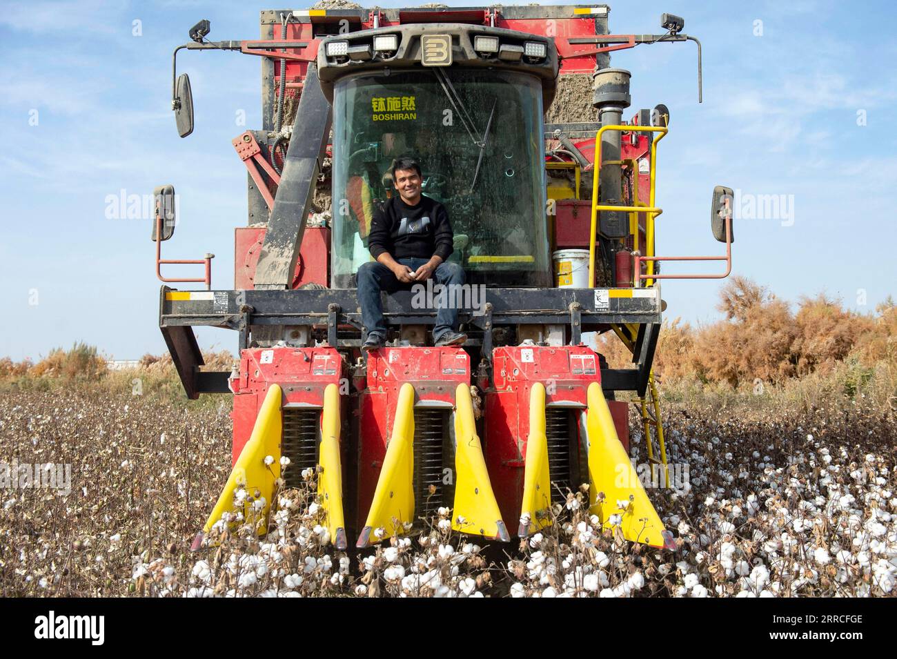 Cotton picker machine in field Banque de photographies et d’images à ...