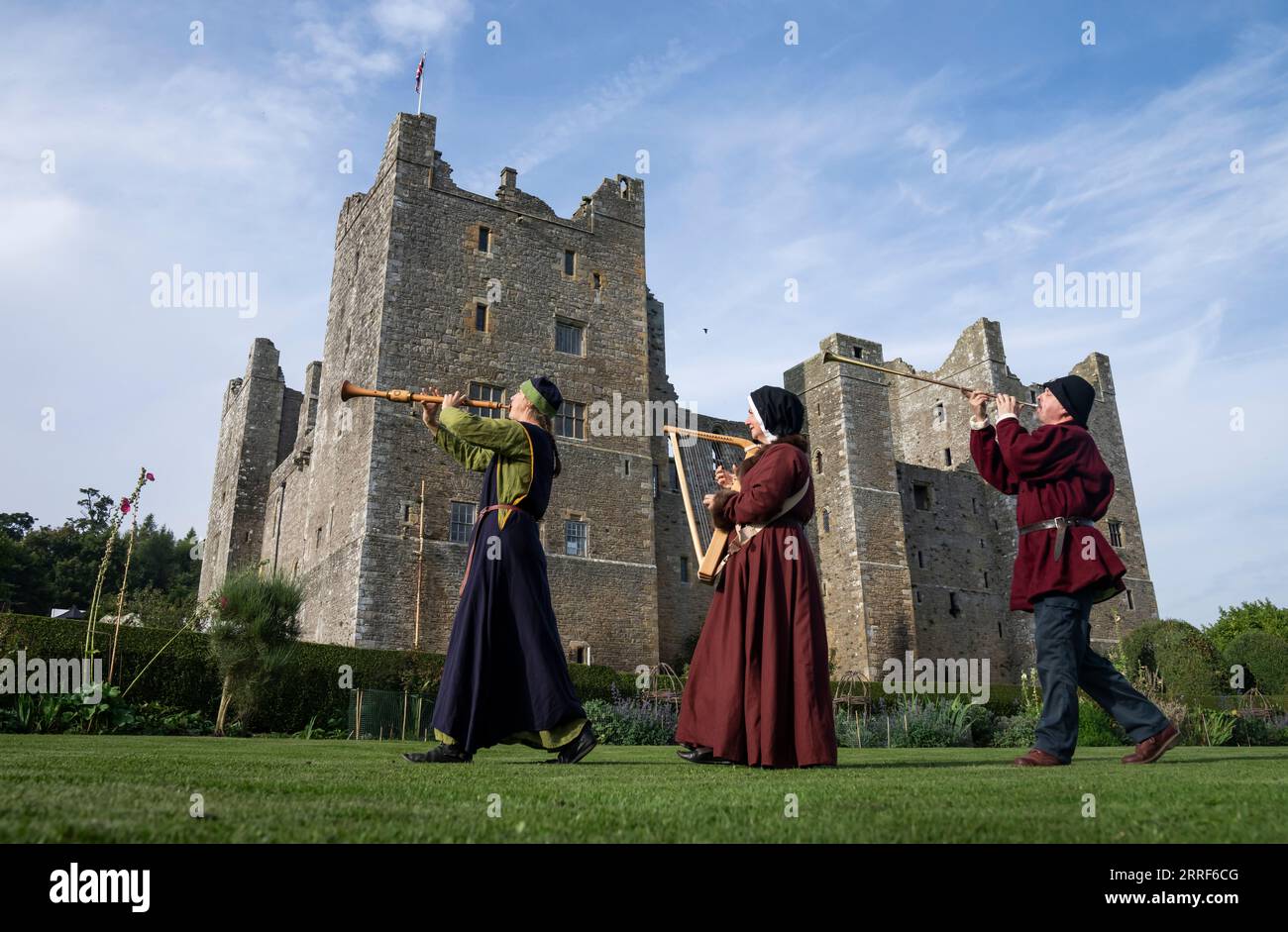 Medieval music instruments Banque de photographies et d’images à haute ...