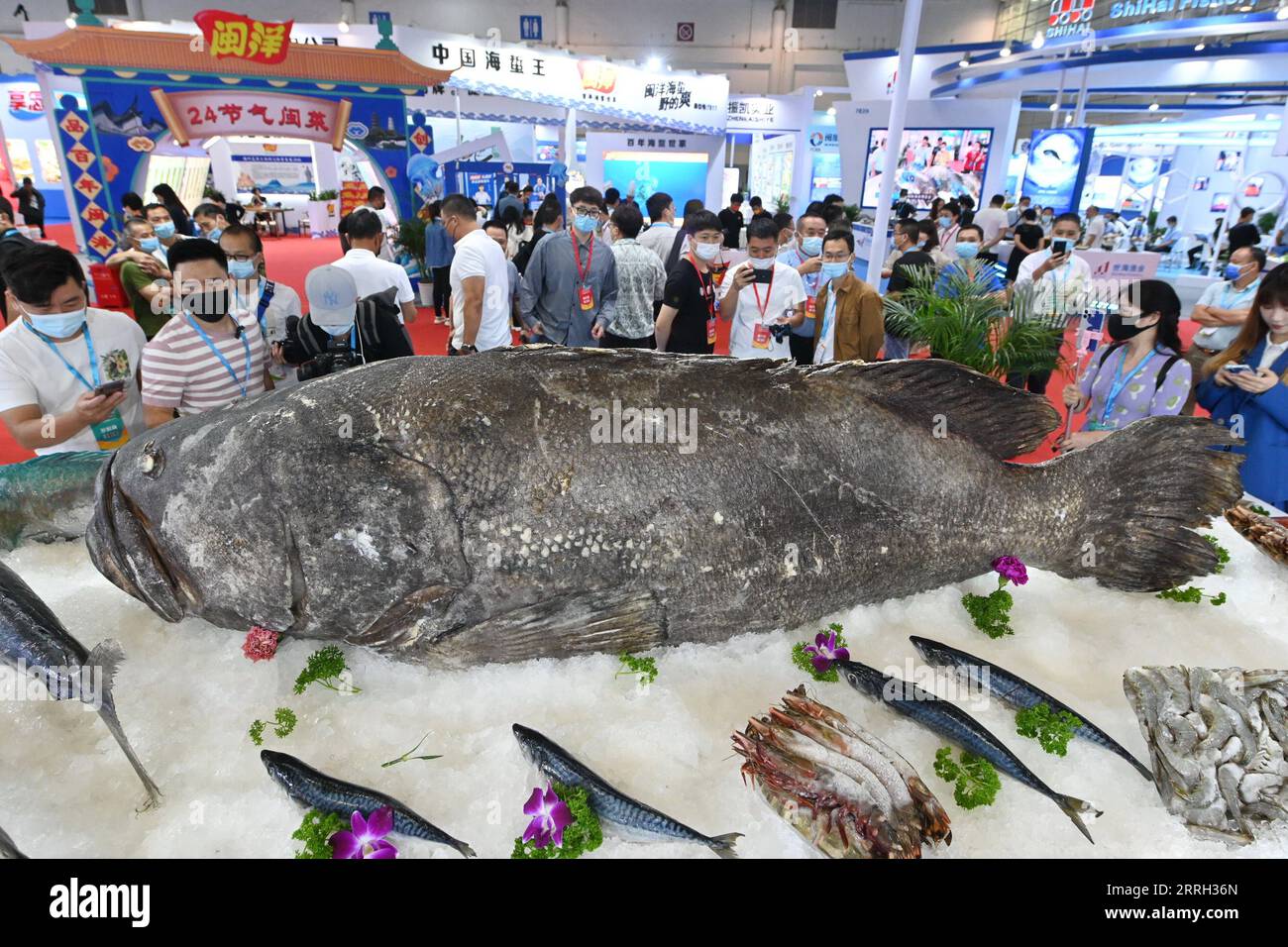 220610 -- FUZHOU, 10 juin 2022 -- la photo prise le 10 juin 2022 montre ...