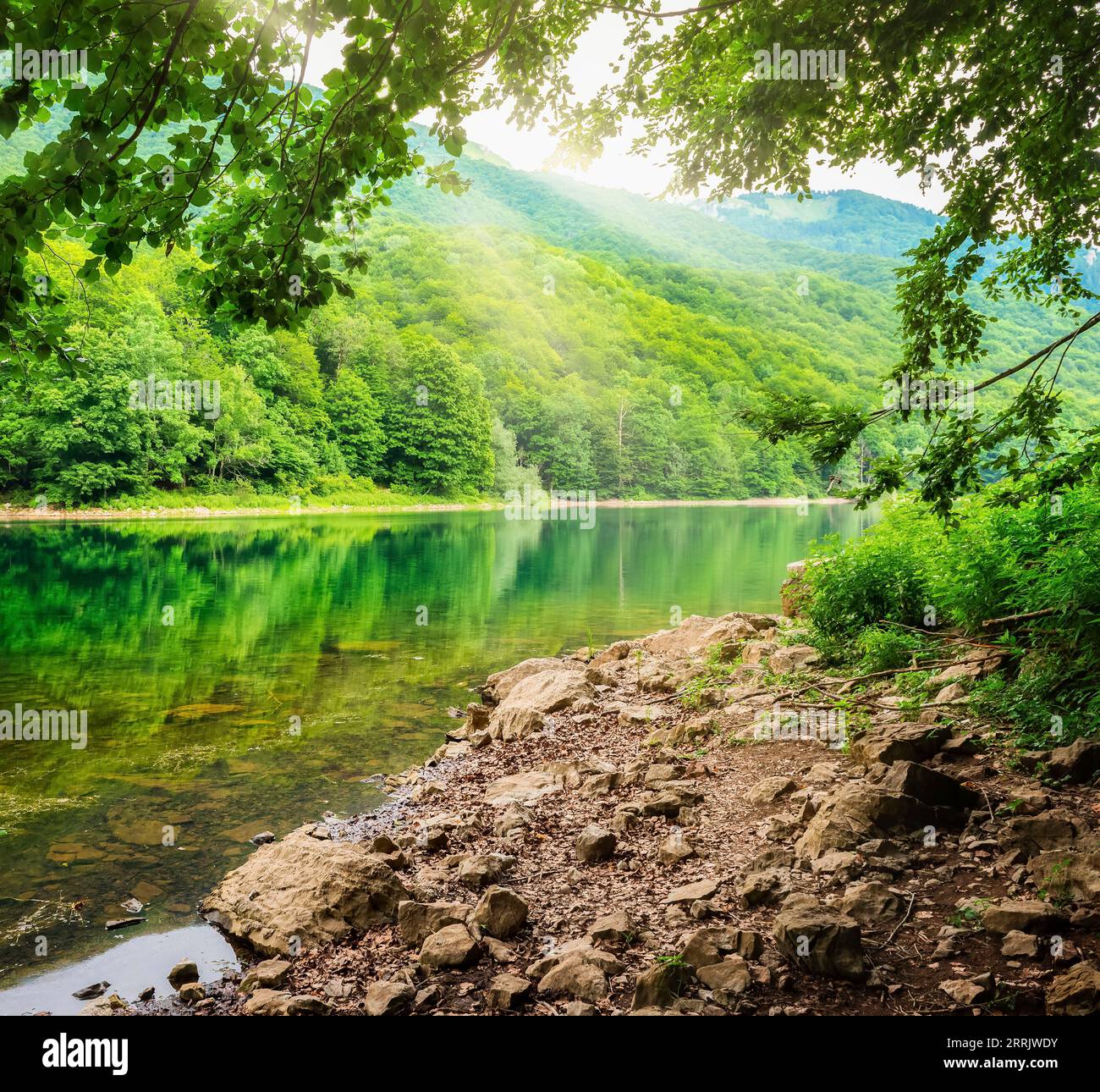 Biogradsko lake Banque de photographies et d’images à haute résolution ...