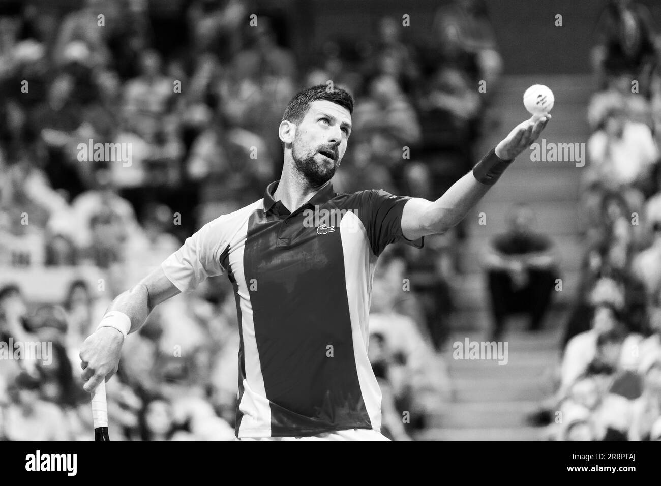 Billie jean king tennis center Banque d'images noir et blanc - Alamy