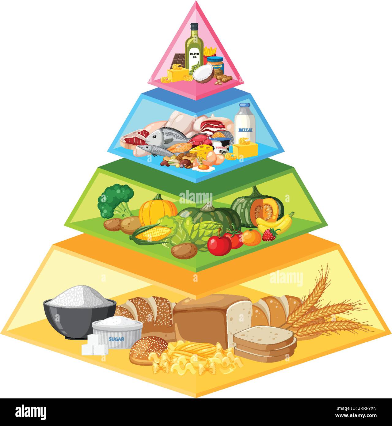 Une illustration informative de dessin animé représentant une infographie de pyramide ...