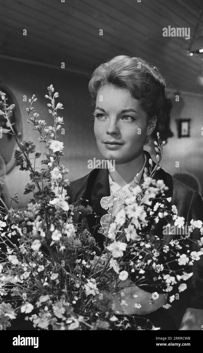 Romy schneider 50s Banque de photographies et d’images à haute ...