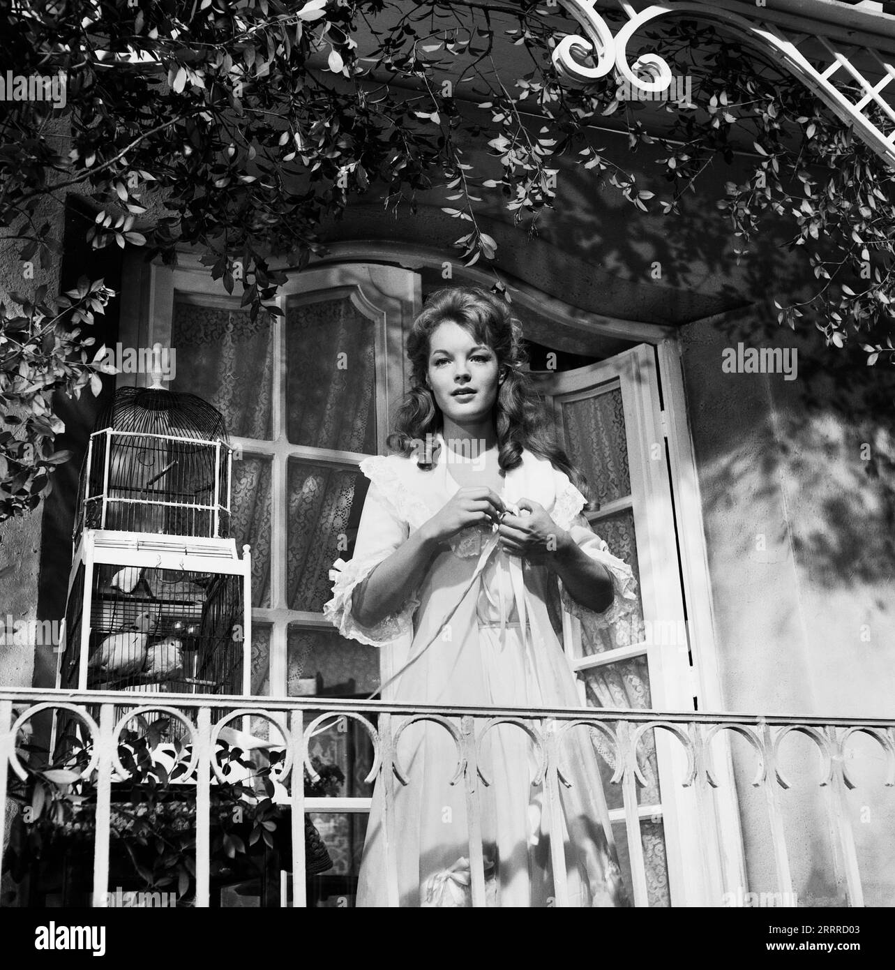 Romy schneider 50s Banque de photographies et d’images à haute ...