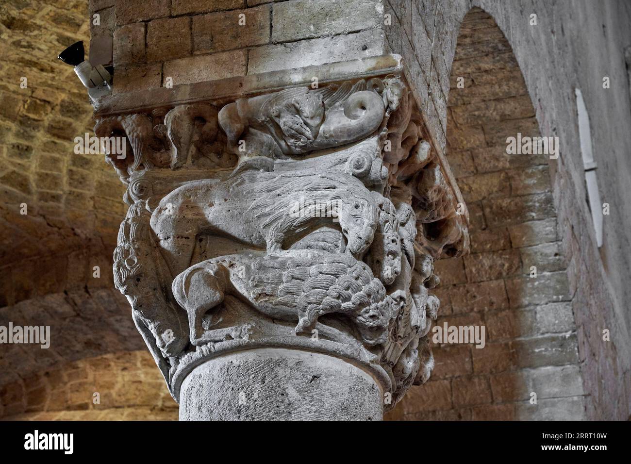 Fossa dei leoni Banque de photographies et d’images à haute résolution ...