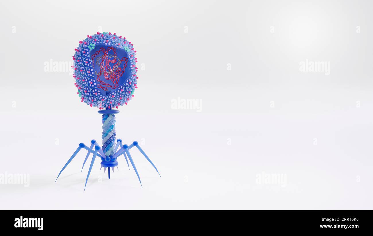 Bacteriophage t4 virus Banque de photographies et d’images à haute ...