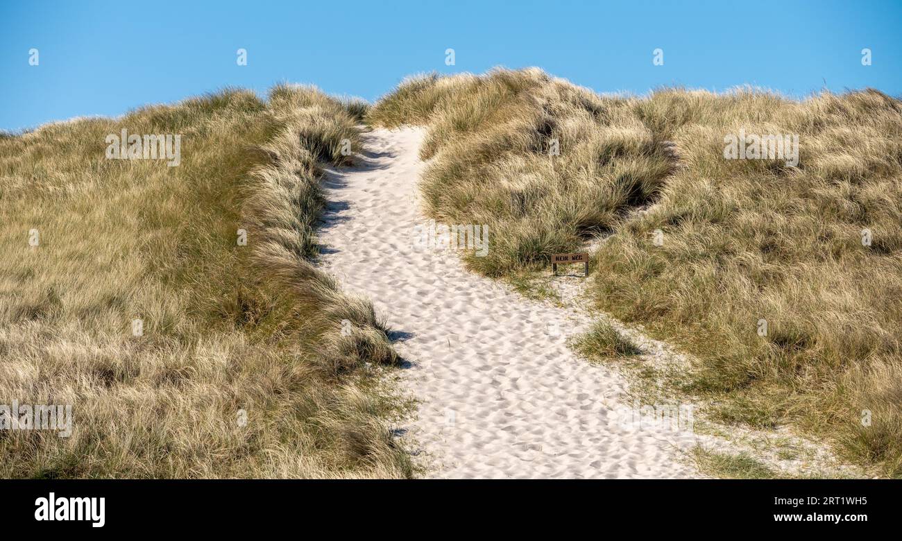 Dune trail Banque de photographies et d’images à haute résolution - Alamy