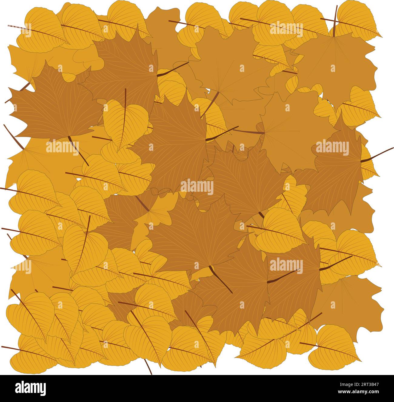 Feuilles froissées Banque d'images vectorielles - Alamy