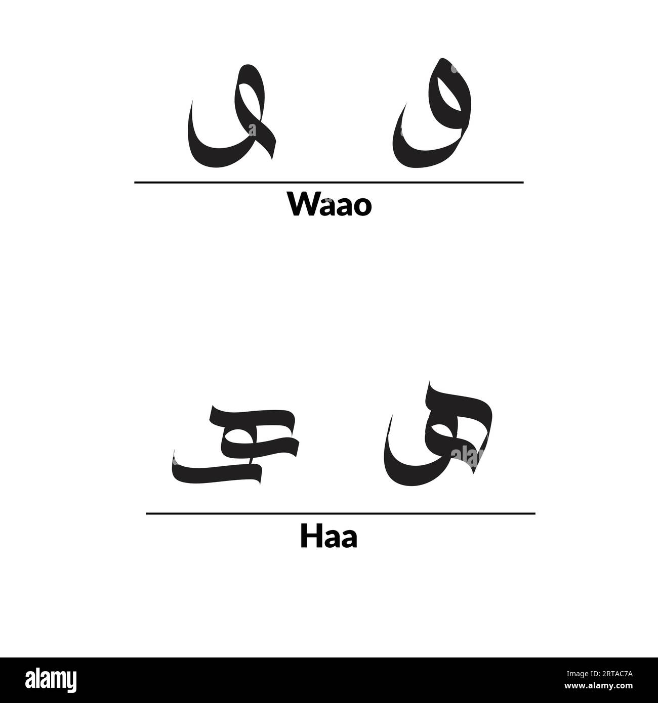 Calligraphie arabe style Al-Saif, alphabets WAO et Haa ta en deux ...