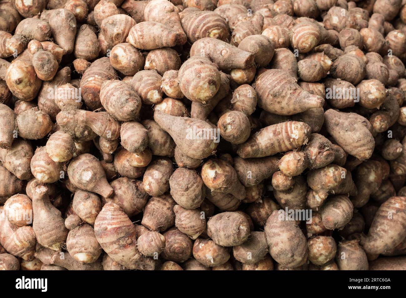 Taro cormes Banque de photographies et d’images à haute résolution - Alamy