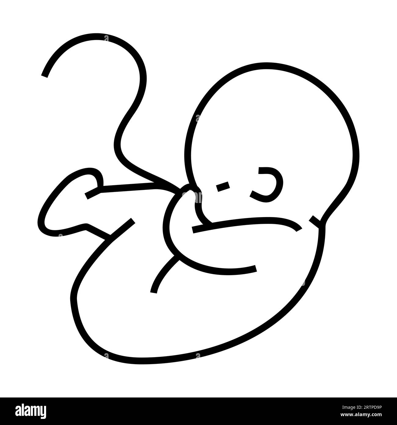 Embryo position Banque de photographies et d’images à haute résolution ...